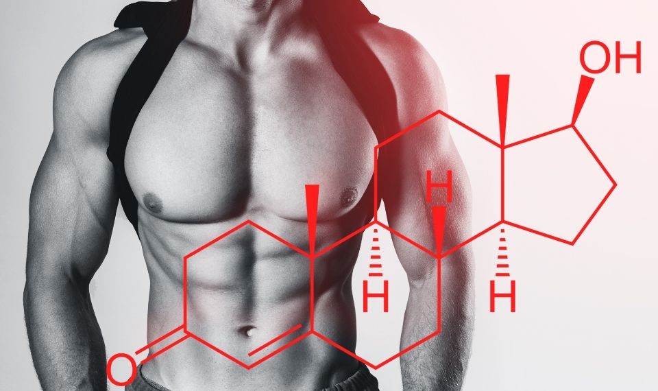 ¿cómo Aumentar La Testosterona De Manera Natural Blog Tiendaculturista